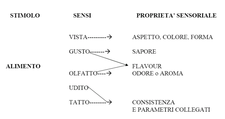 Mozzarella di Bufala Campana: Tecnica di degustazione e scheda O.N.A.F ...