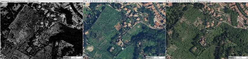 Affidabilità delle cartografie da aerofotointerpretazione - parte ...