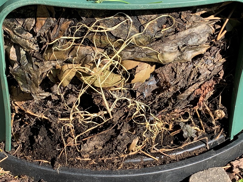 Il Compost - Rivista di Agraria.org