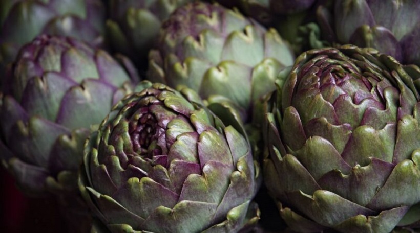 Il Carciofo (Cynara cardunculus scolymus) e il suo ruolo nell’economia ...