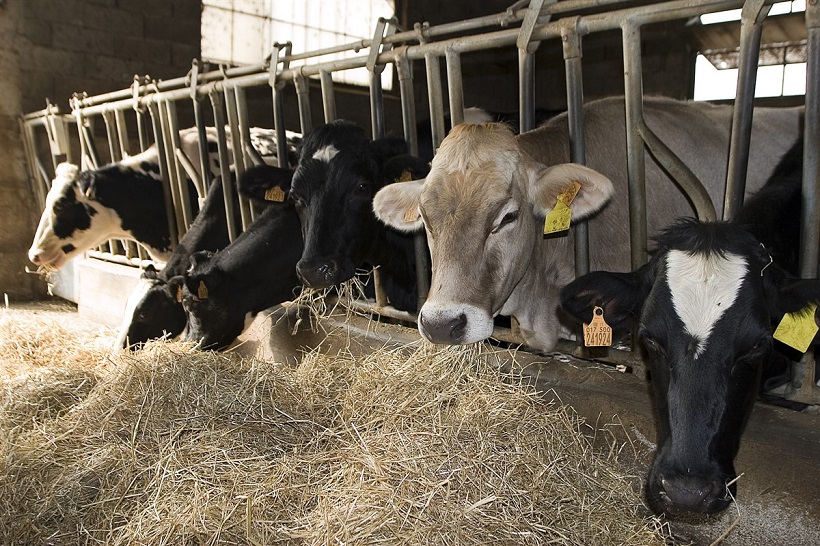 Istituto Tecnico Agrario Statale “G.Pastori” di Brescia - Rivista di ...