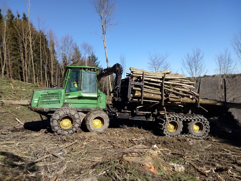 AIMSUSFOR, un progetto di ricerca europeo per operazioni forestali ...